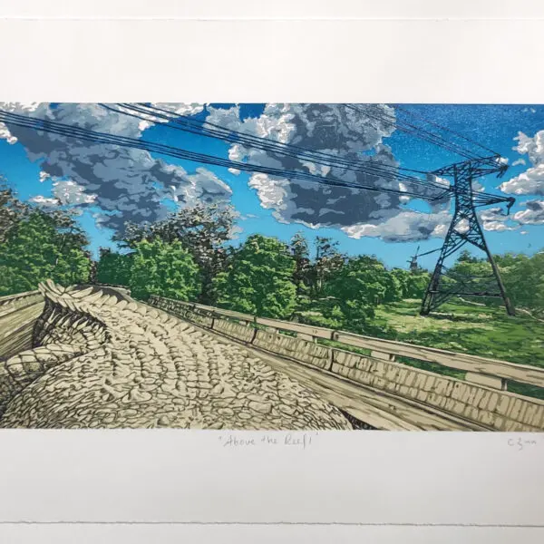 Claire Zinn - Rich Colour Limited Edition Prints » Visual Artist